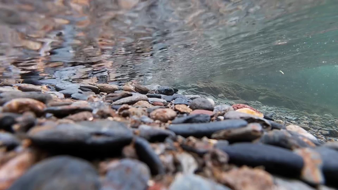 10 Minutes of Relaxing Creek Footage - YouTube