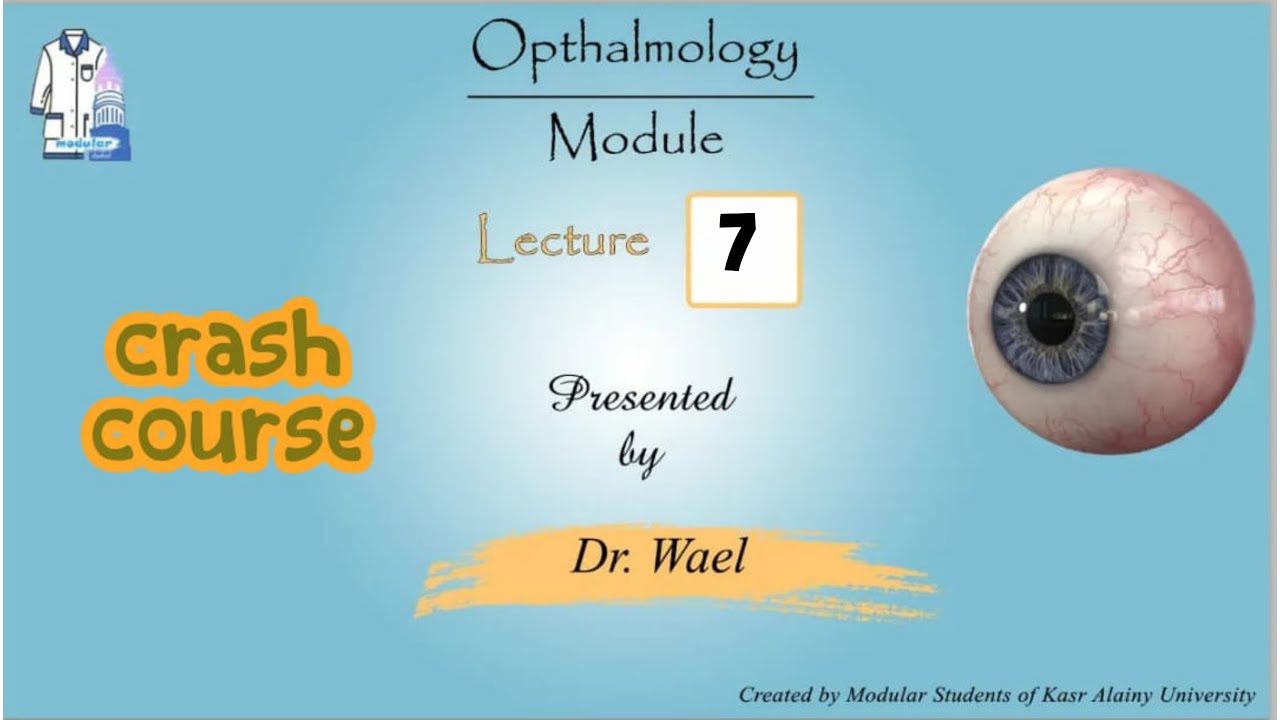 7- Ocular Motility Dr Wael Ophthalmology - YouTube
