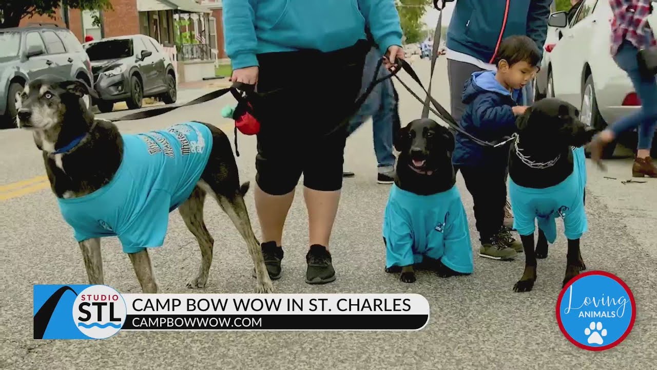 St. Charles Paw Parade - YouTube
