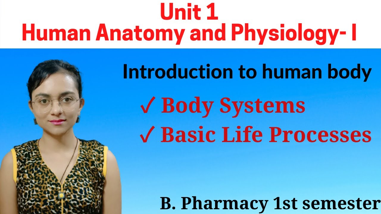 Body Systems | Basic Life Processes | Human Anatomy and Physiology ...