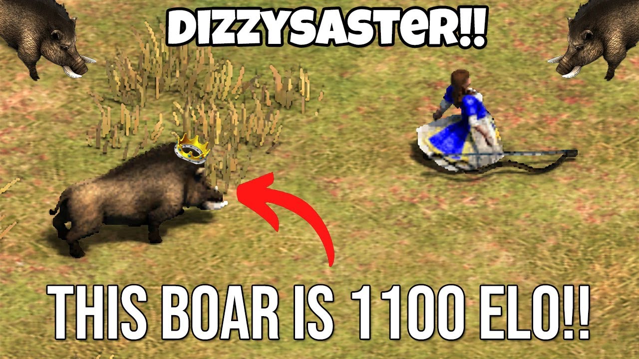 The 1100 ELO Boar on Land Nomad 😭 | Age of Empires 2 Dizzysaster - YouTube