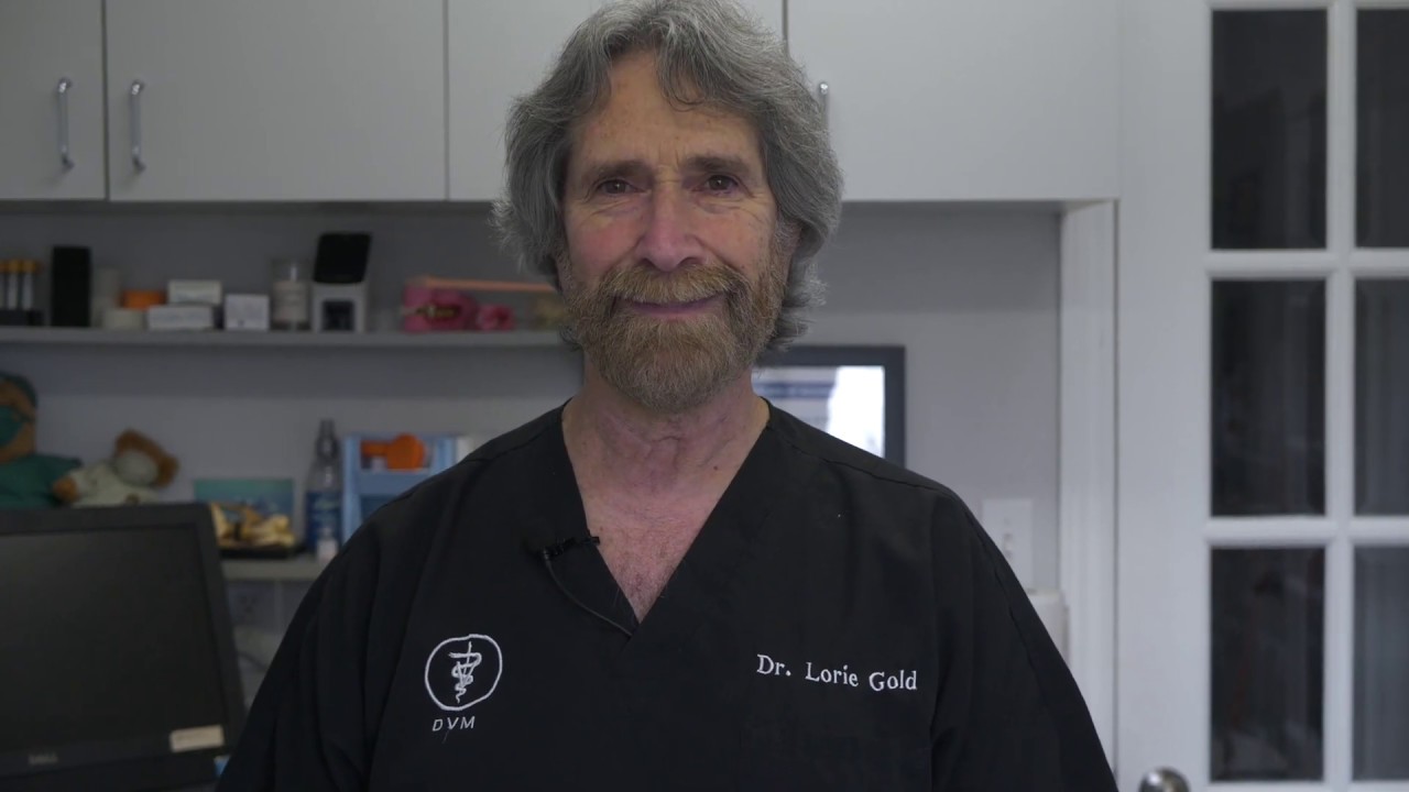 A Quick Tick Talk with Dr. Gold - YouTube