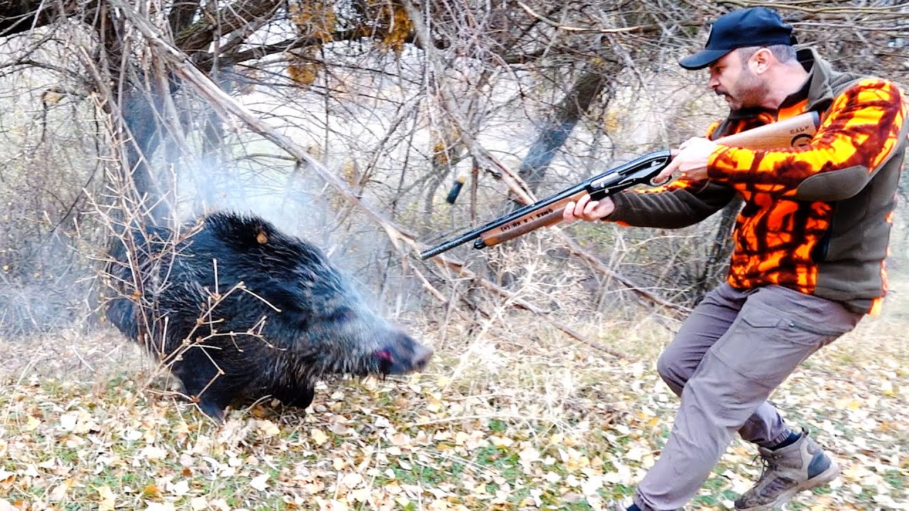 THE MOST DANGEROUS HUNTING! -Monster is Wild Boar Hunting. - YouTube