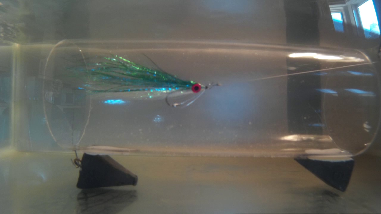 Salt water flies in the test tank. - YouTube