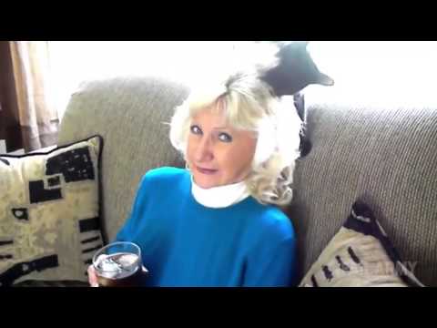 Cats Being Jerks Video Compilation    FailArmy