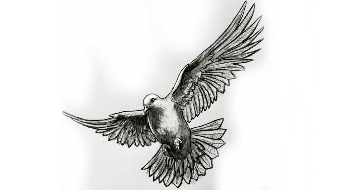 White Dove Drawing White Dove Flying UNIQ Art