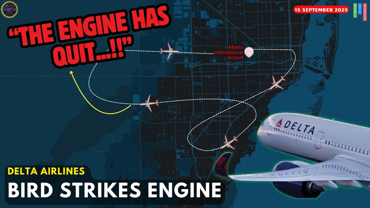 Delta Flight Makes Emergency Landing After Bird Strikes in Engine at ...