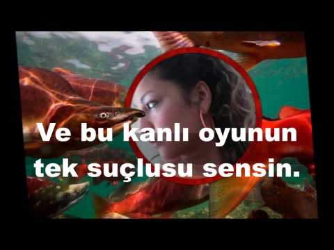 DERYA ACIKGÖZ -SIL BASTAN