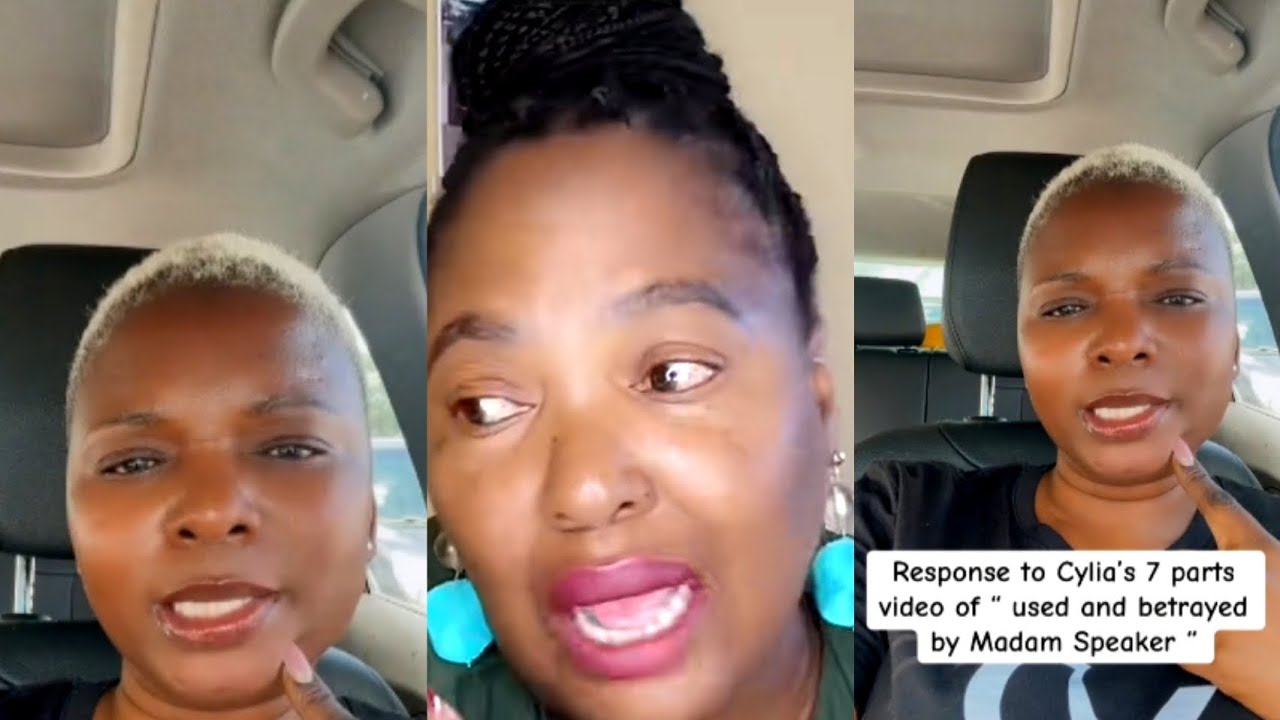 Madam Speaker response to Cylia 's wild accusations - YouTube