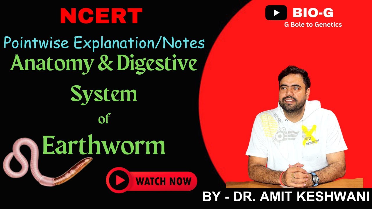 How Anatomy/Digestive System of Earthworm Work | Amazing Explanation ...