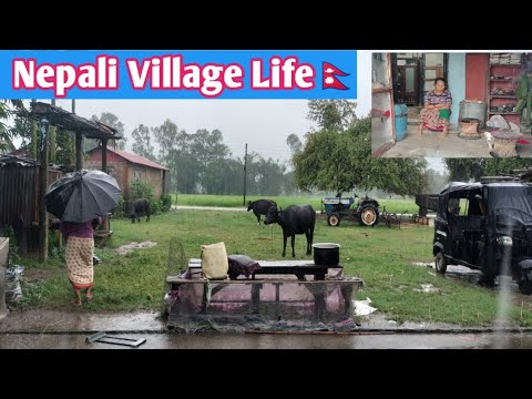 Nepali Natural Village Life ( Part 1 ) || गाउले जिवनको अर्गानिक भिडियो ...