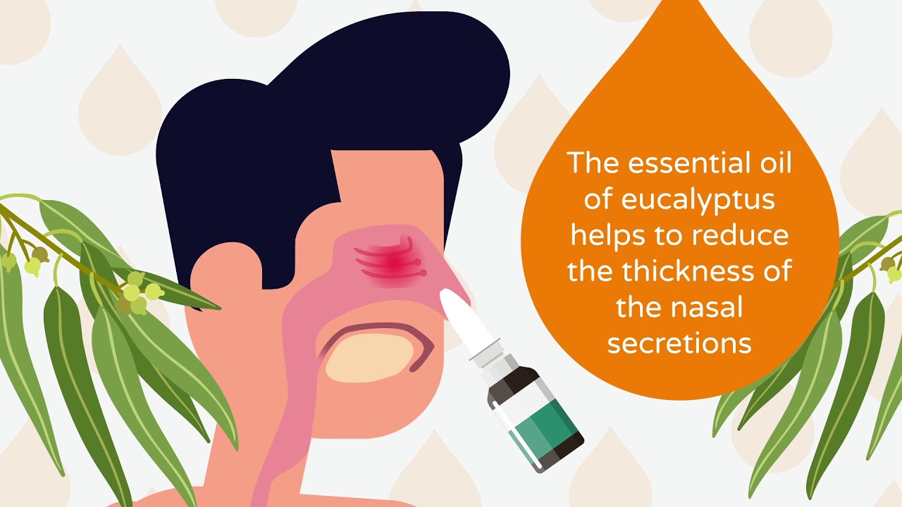 Biology of A Blocked Nose - YouTube