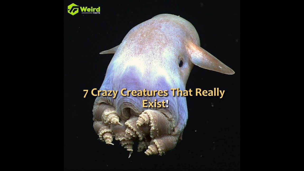 7 Crazy Creatures That Really Exists - YouTube