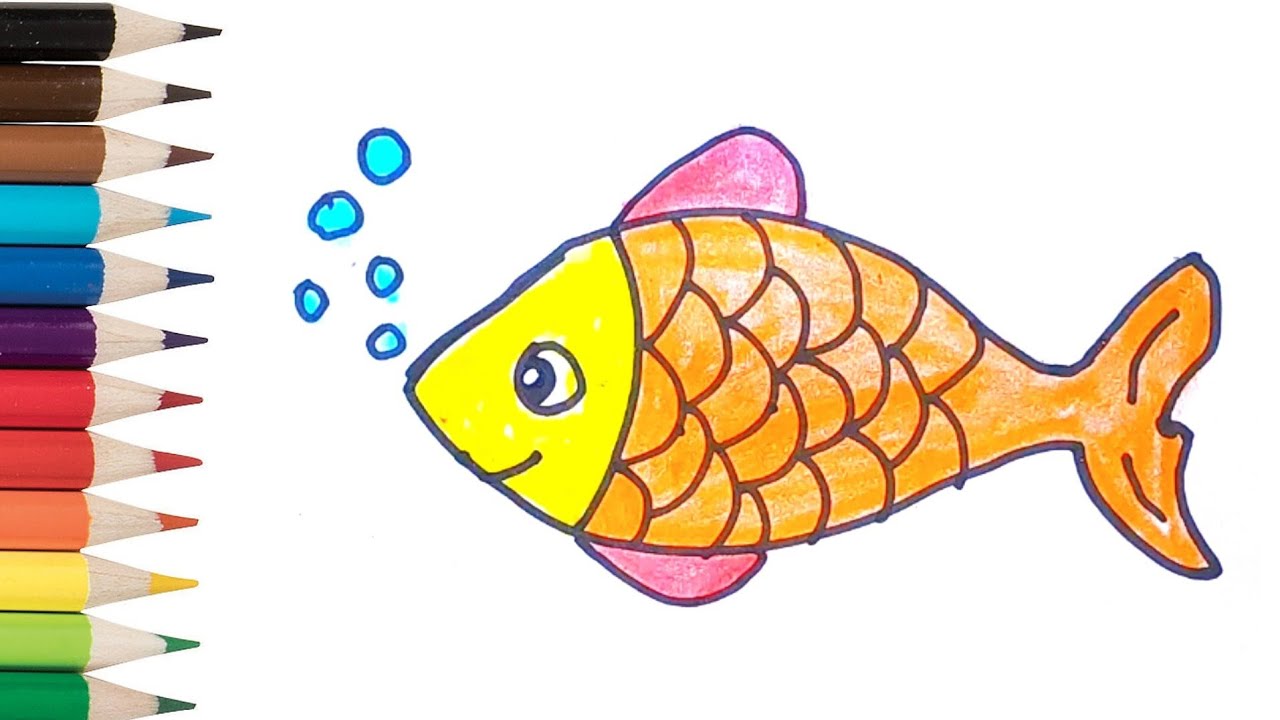 Drawing of fish step by step, beautiful fish draw paint and color - YouTube