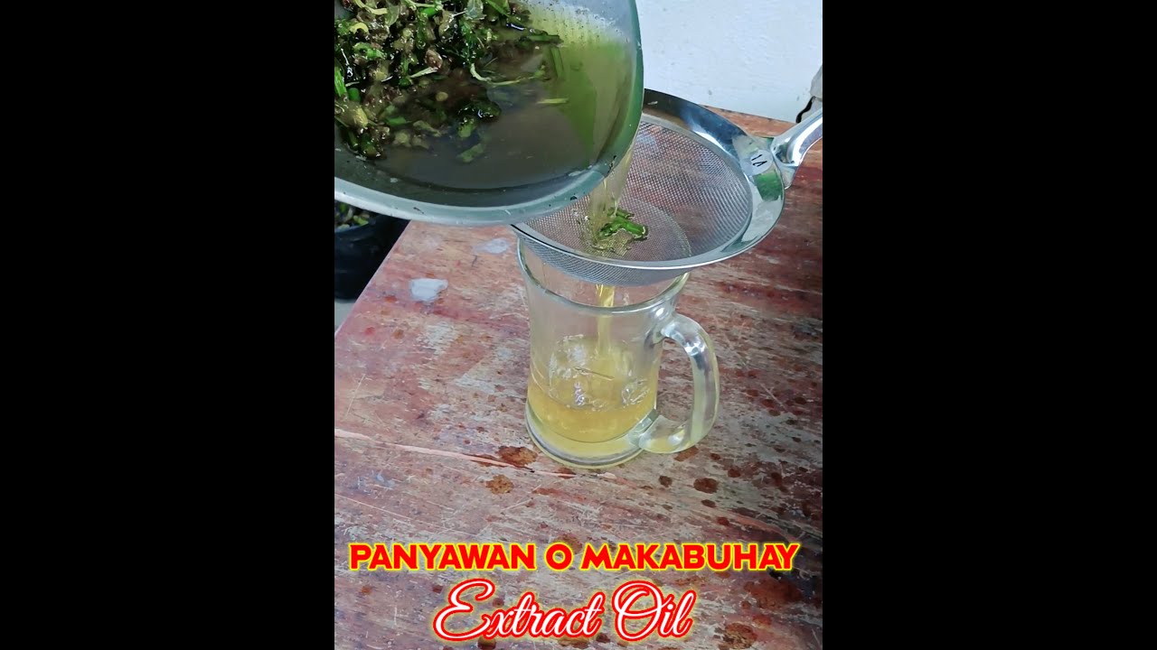 Panyawan o Makabuhay plant - YouTube