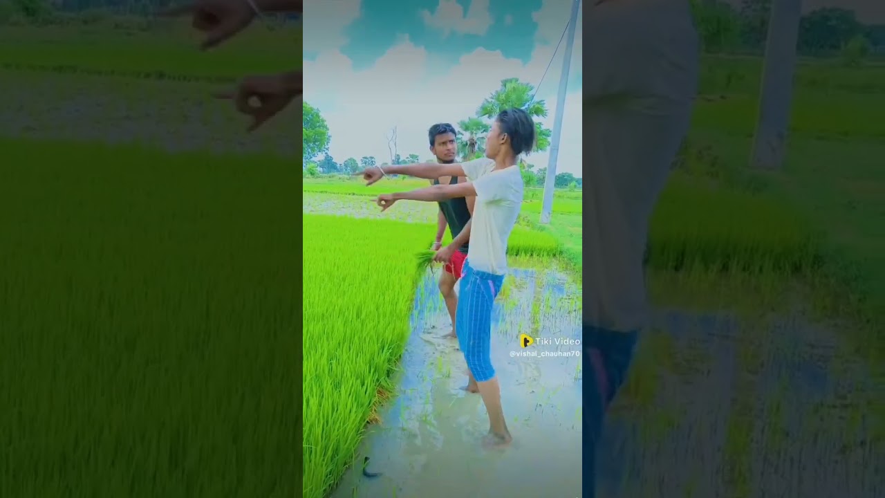 funny videos 2022,funny 2022,viral hits 2022,comedy #shorts #viral # ...