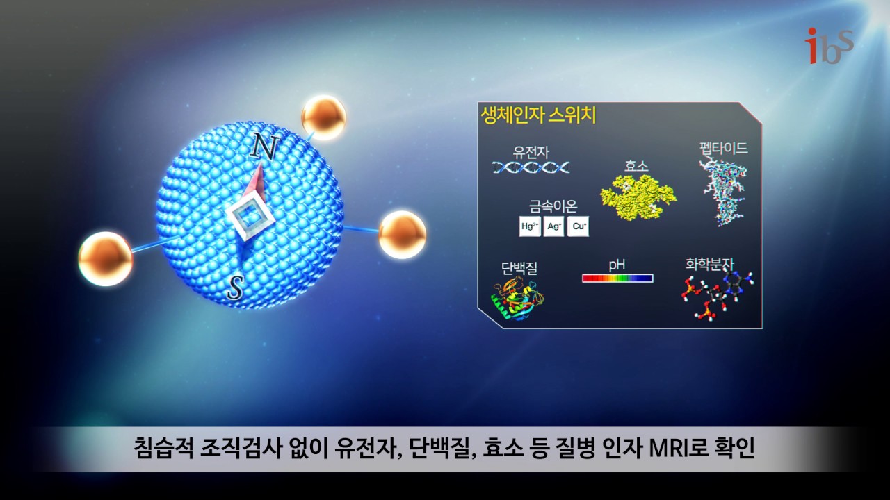 IBS 나노의학 연구단 - 나노MRI 램프의 작동 원리 - YouTube