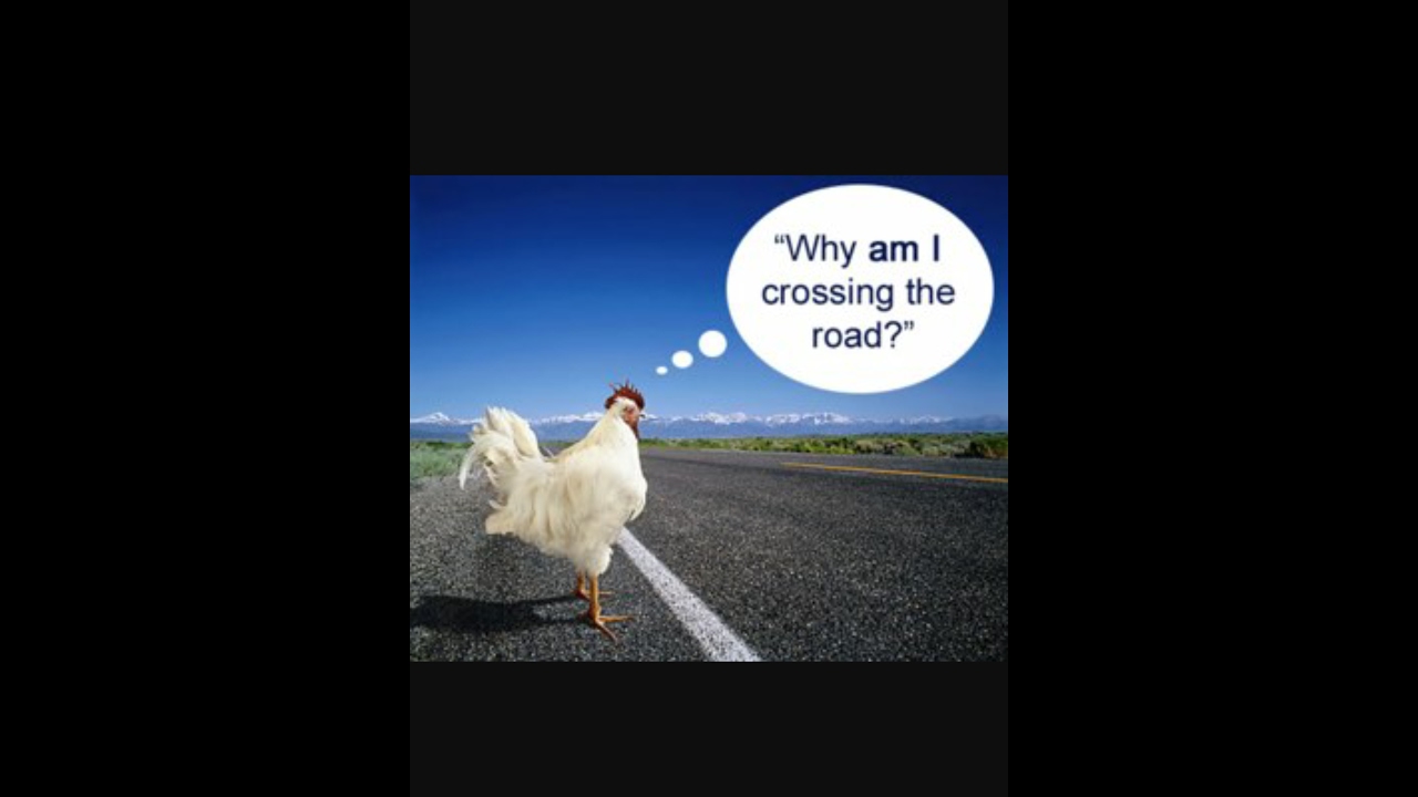 Why did the chicken crossed the road? - YouTube