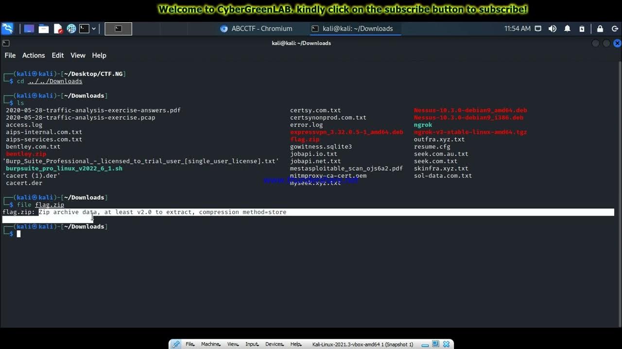 CTF- Forensic Challenged solved - YouTube