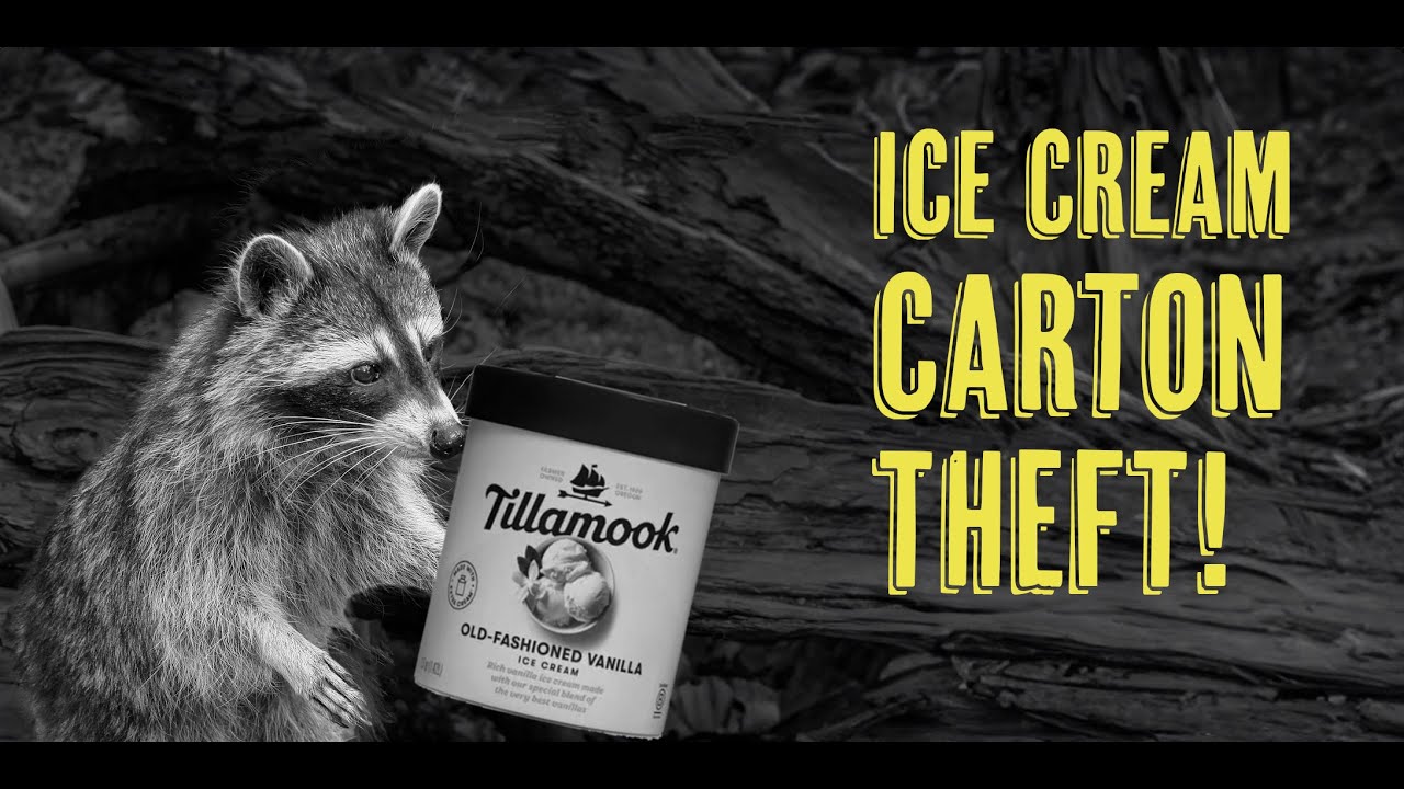 Ice cream theft! - YouTube