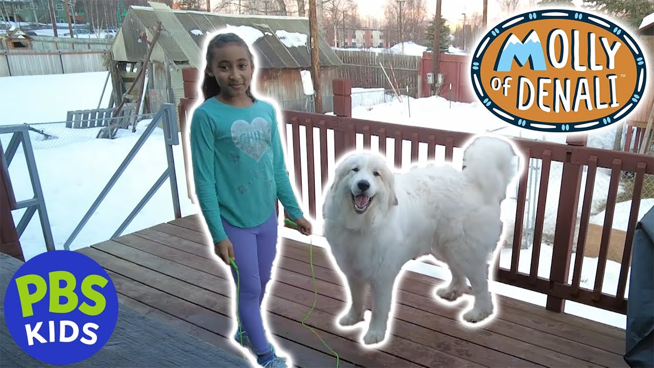 Molly of Denali | Awesome Alaskan Kids: Caring for Pets | PBS KIDS ...