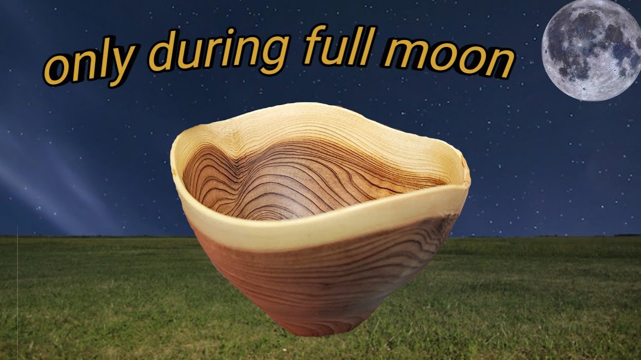 SPECIAL WOOD that has to come down during January FULL MOON??? - YouTube