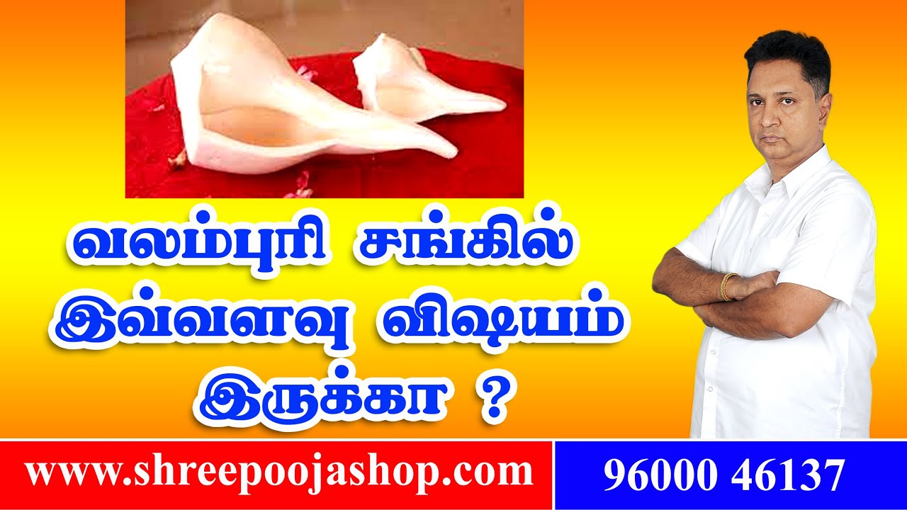 வலம்புரி சங்கில் இவ்வளவு விஷயம் இருக்கா? | Valampuri Sangu Original ...