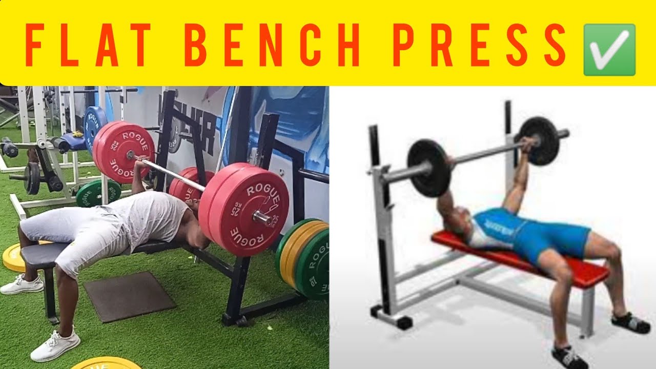 How To Do a Flat BENCHPRESS for Chest Growth in Correct form 💯 - YouTube