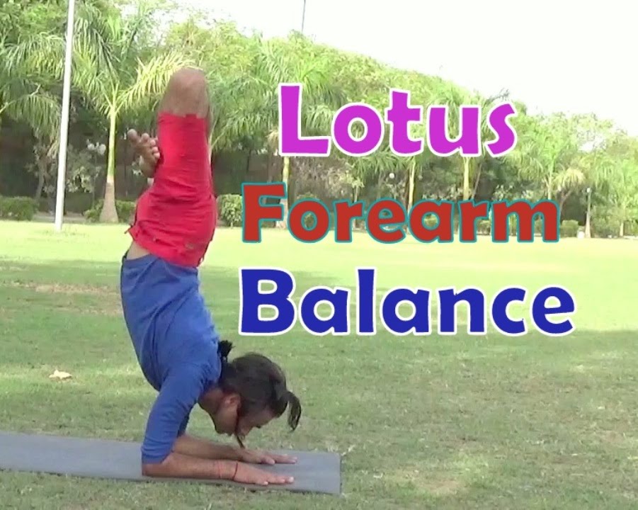 Lotus Forearm Balance | Pincha Mayurasana in Padmasana | Yoga Arm ...