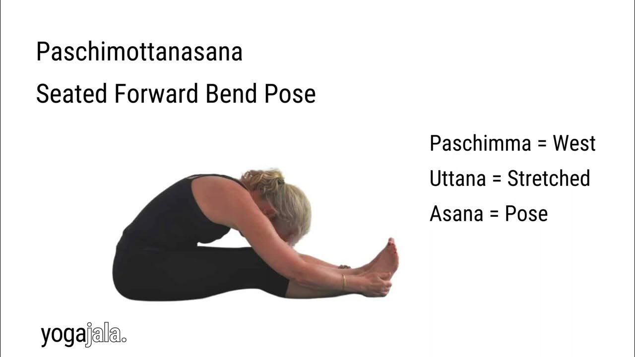 Seated Forward Bend Pose, Paschimottanasana, Sanskrit Pronunciation ...