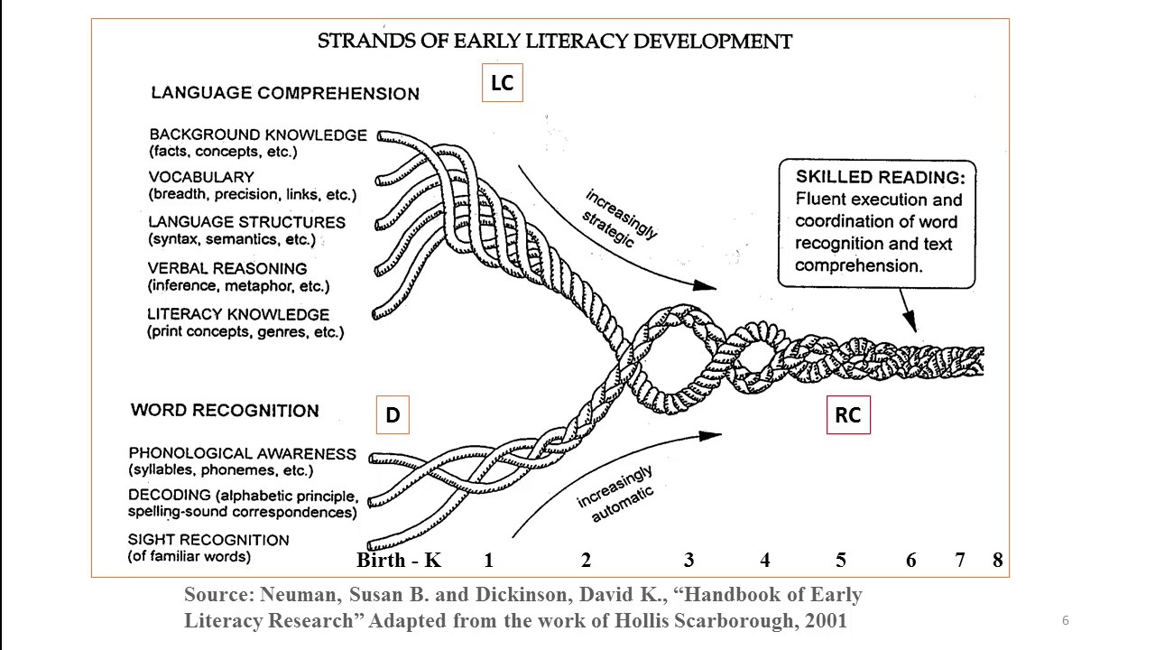 Using Literacy Screening Data to Support Students with Reading ...