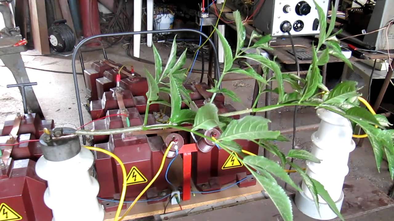 Holz Kurzschluss an 20kV tree touches power line short circuit - YouTube