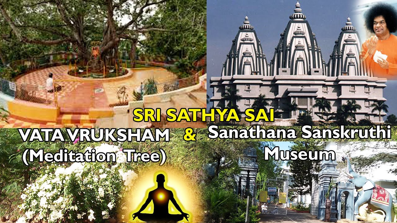 Vata Vruksham (Meditation Tree) & Sanathana Sanskruthi Museum - YouTube