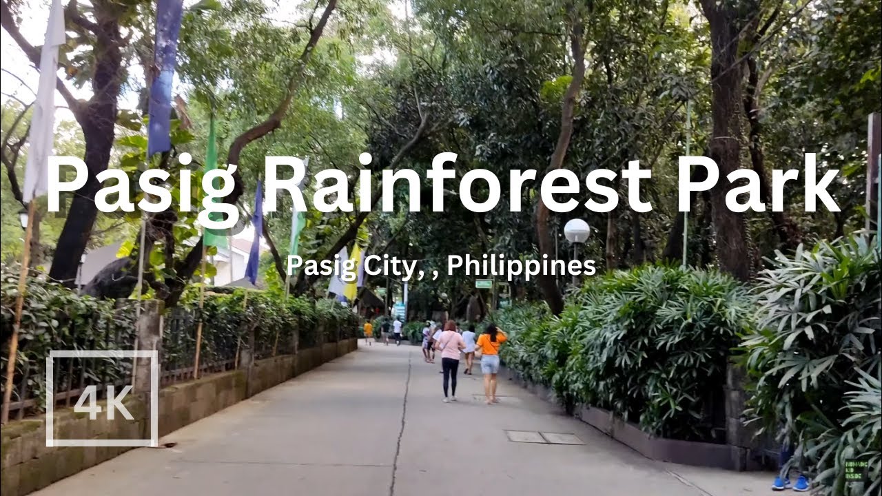 Pasig Rainforest Park | Pasig City | Philippines | Walking Tour [4K ...