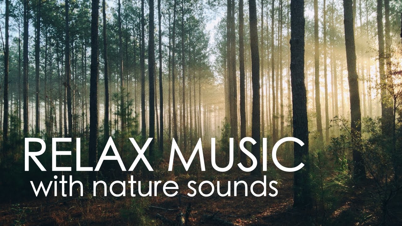 2 Hours Relaxing Music with Nature Sounds - YouTube