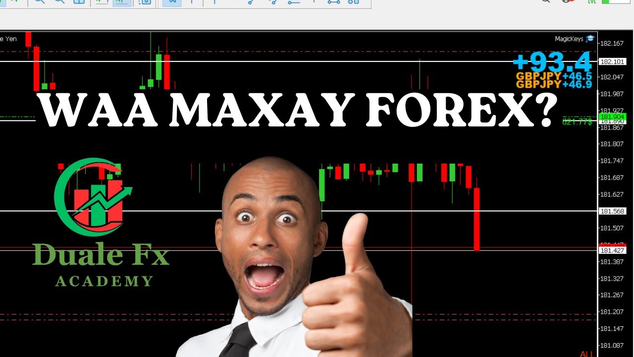 Waa maxay Forex?//What is Forex? - YouTube