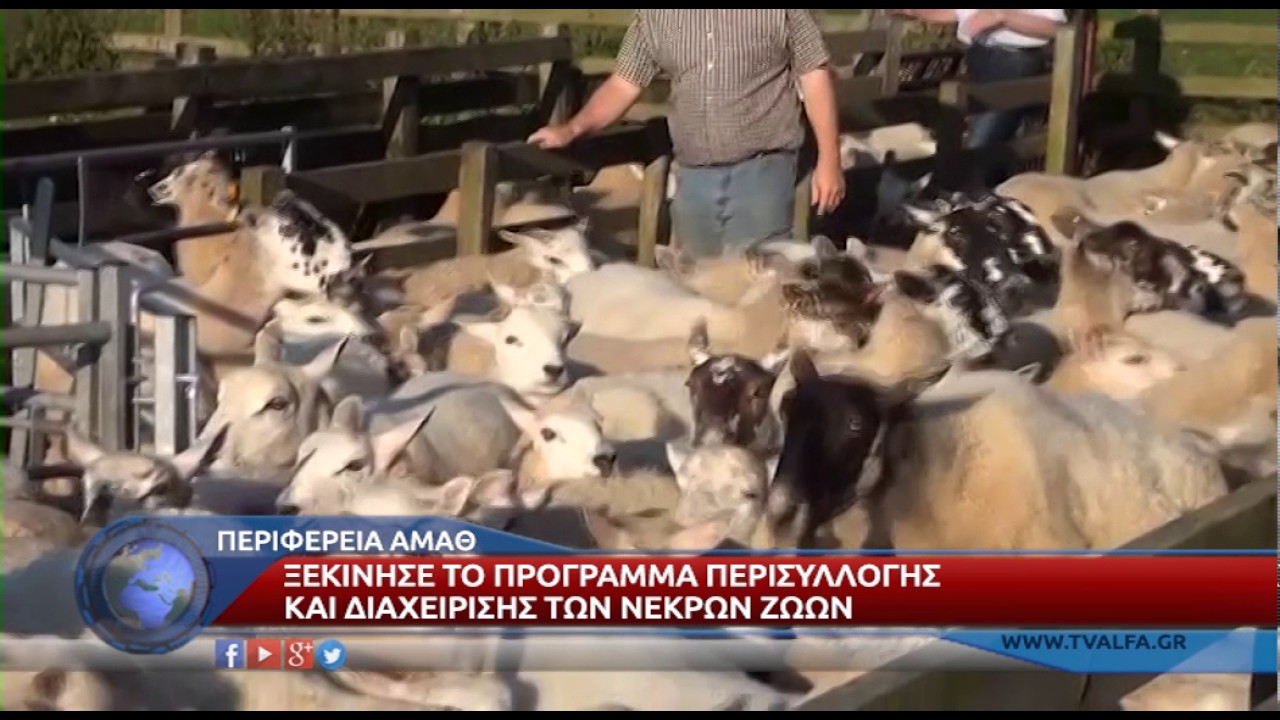 ΠΕΡΙΦΕΡΕΙΑ ΑΜΑΘ ΔΙΑΧΕΙΡΙΣΗ ΝΕΚΡΩΝ ΖΩΩΝ - YouTube