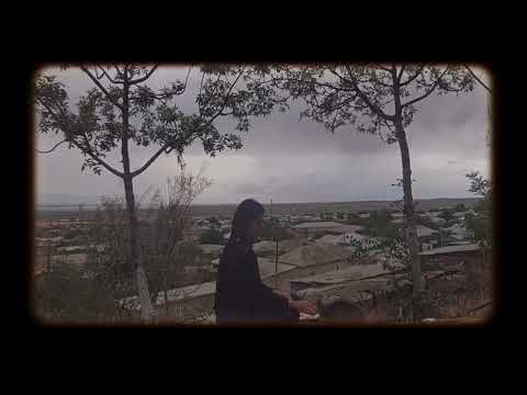 Hümeyra -  Kirli beyaz kedi