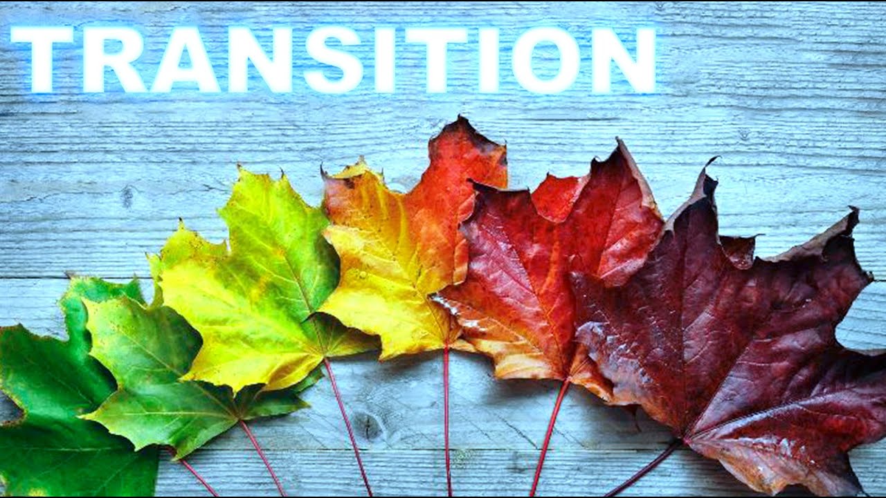 Transition Sound Effects No Copyright Music Ivan Rodriguez transition-sound-effects-no-copyright-music-ivan-rodriguez