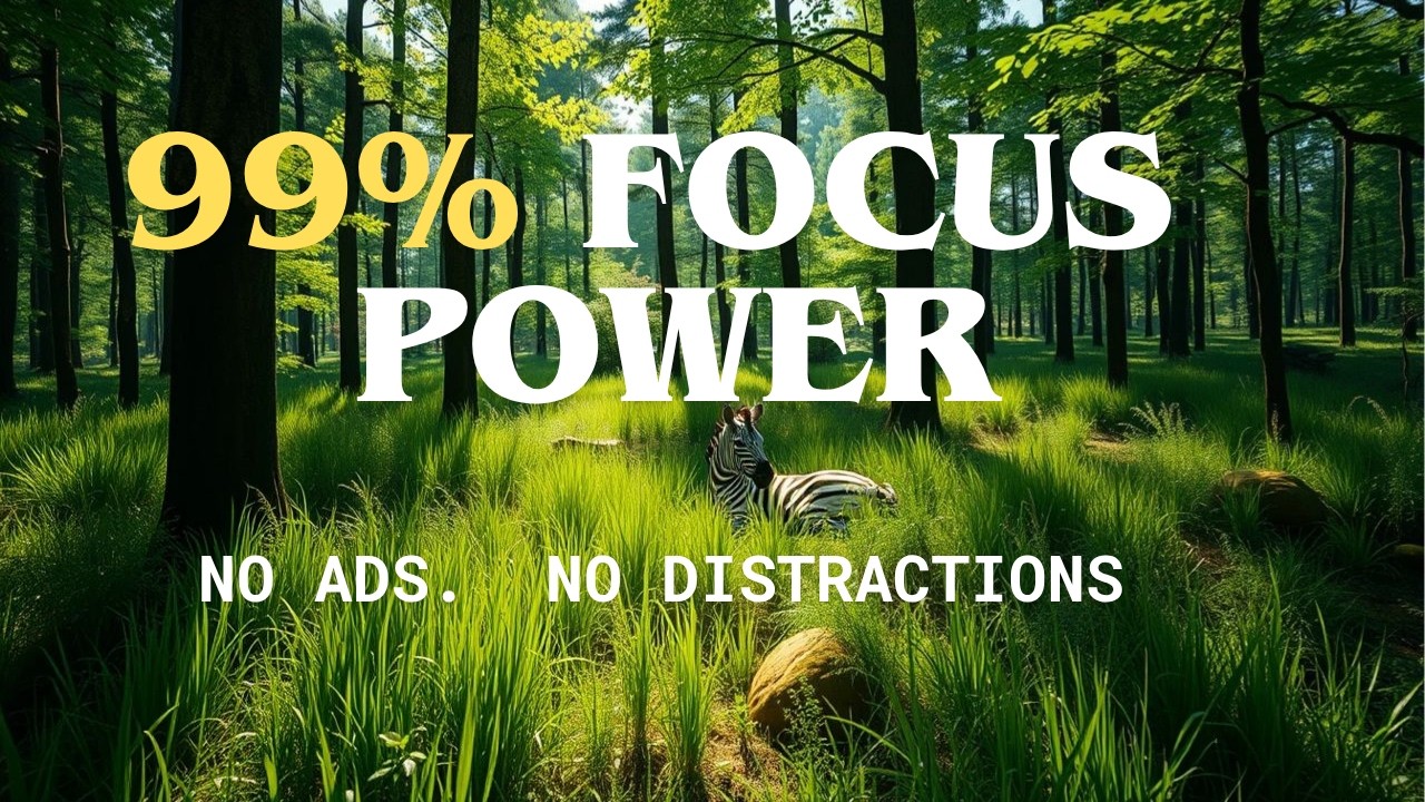 Deep Focus Piano Music • 99% Concentration • No Ads, No Distractions ...