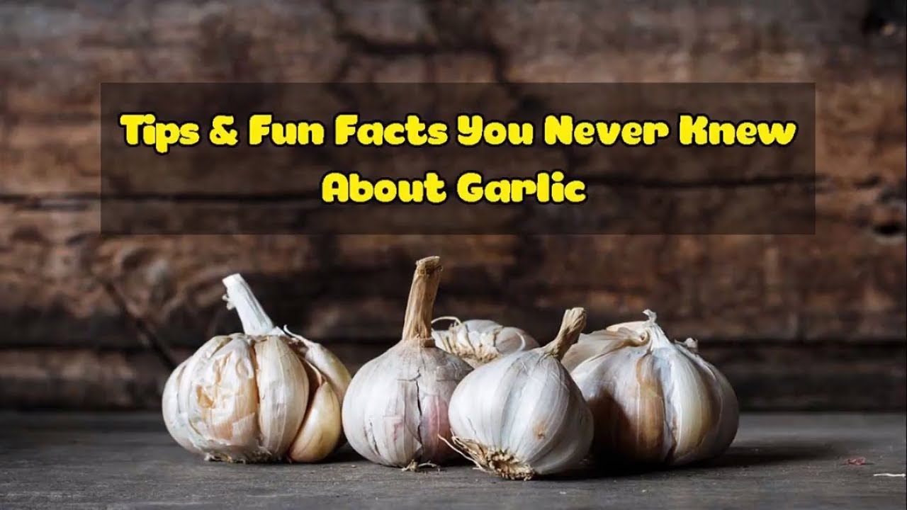 14 Tips and fun facts you never knew about Garlic_NEWS_3_KidHome - YouTube