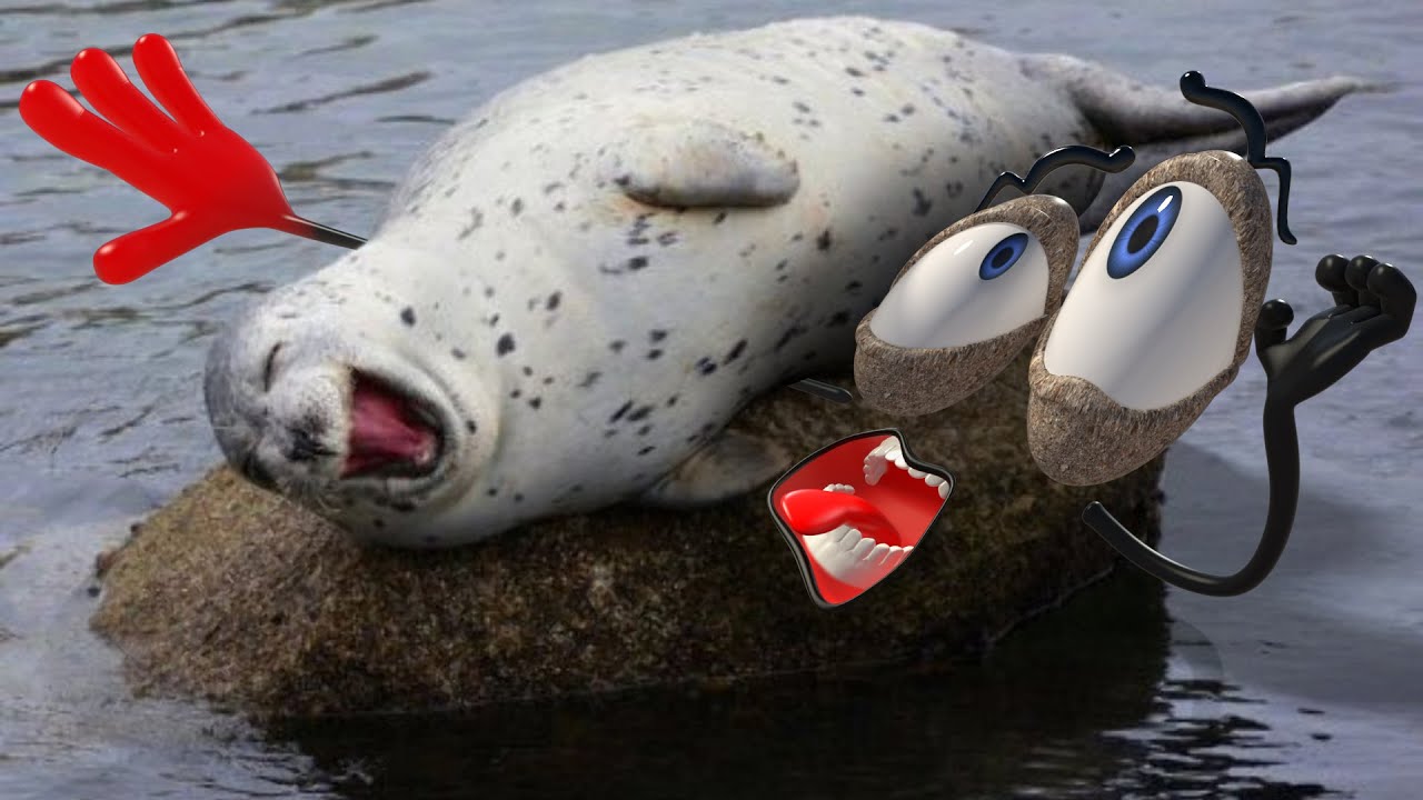 Secret Life of Things - Real Life Doodles Compilation | 3D Doodland #56 ...