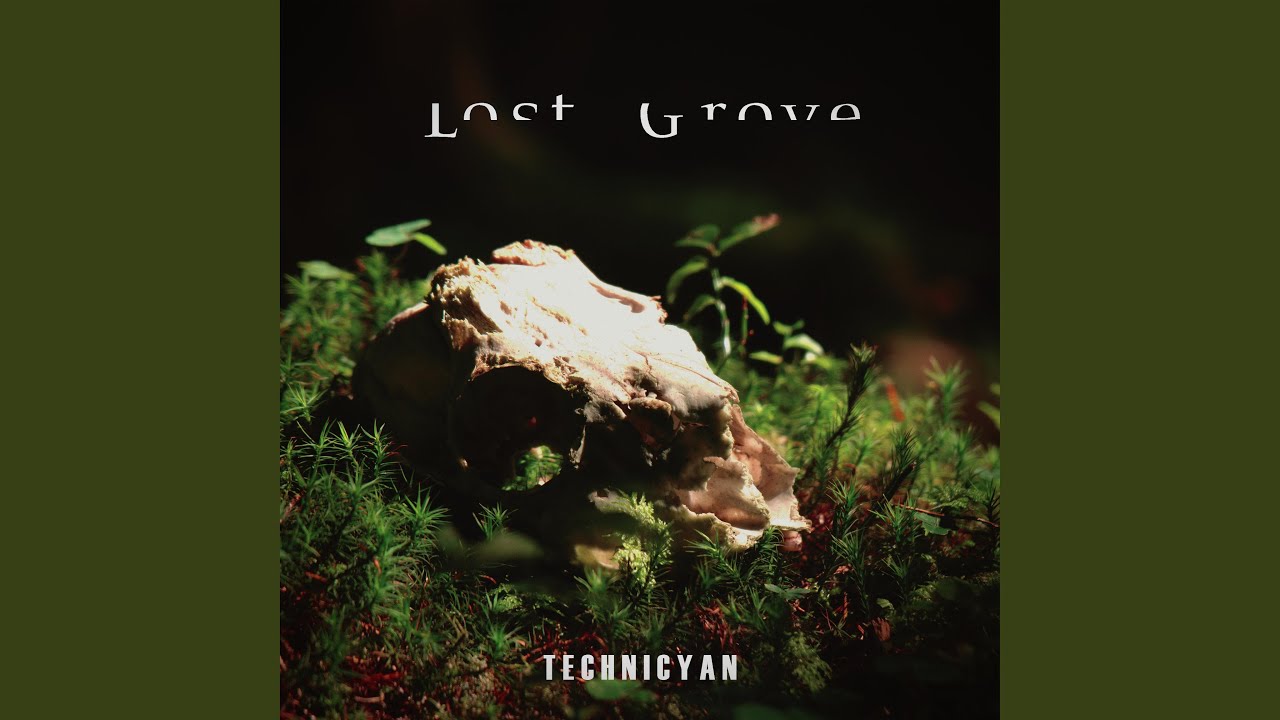 Lost Grove - YouTube