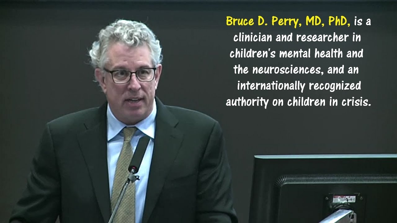 Bruce D Perry Social & Emotional Development in Early Chilhood - YouTube