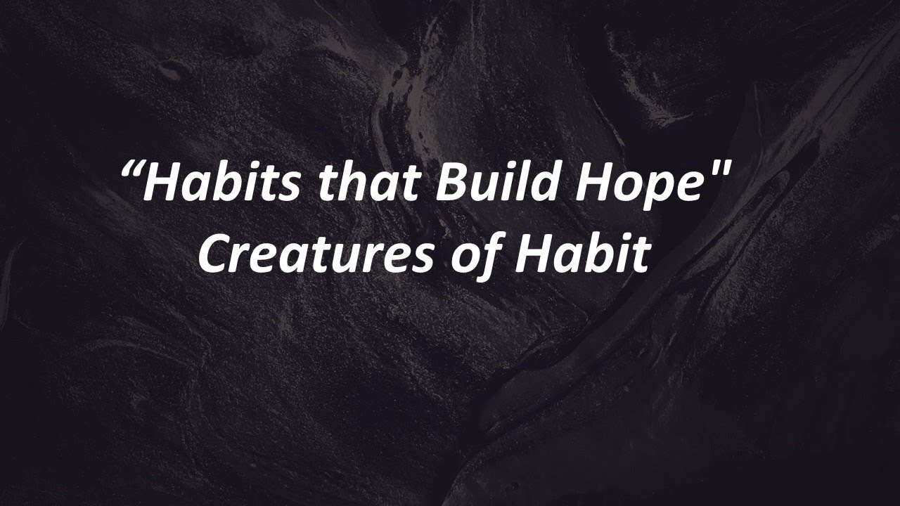 Creatures of Habit Pt. 3 - YouTube