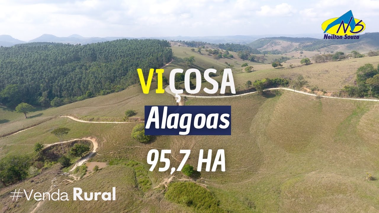 Maravilhosa Propriedade à venda em Viçosa - AL de 95,7 hectares. - YouTube
