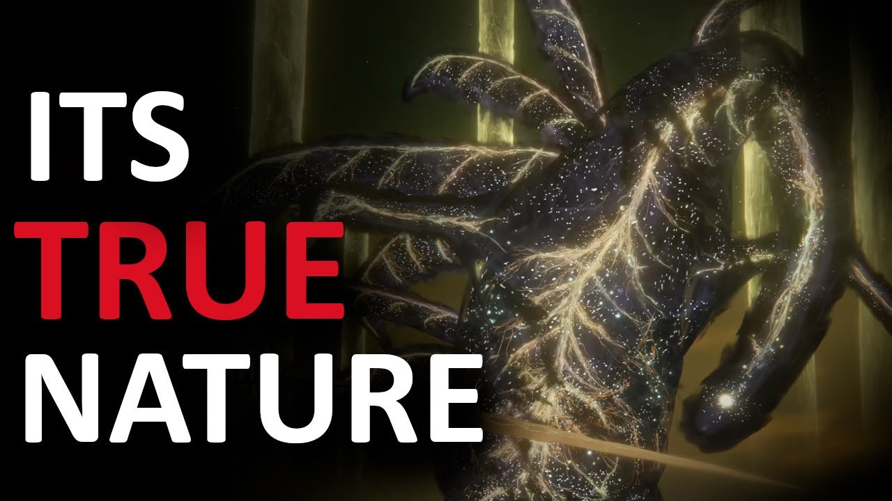 What is the True Nature of the Greater Will? - YouTube