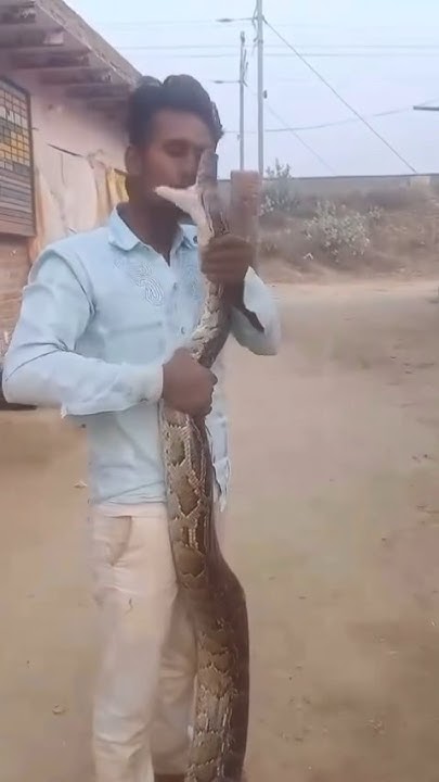 Huge Python Attacks 🤯 - YouTube