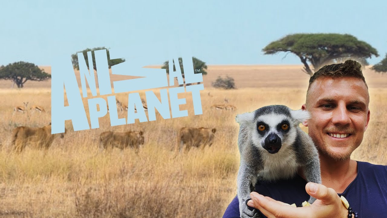 ANIMAL PLANET: GALINEOS - YouTube