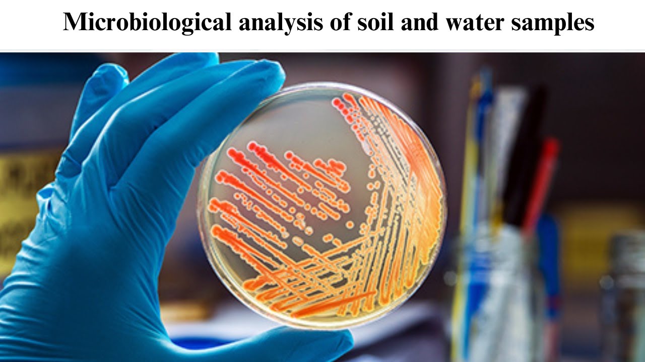 Microbiological analysis of soil and water samples #10x_simple - YouTube